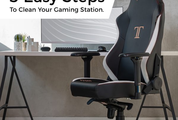 Secretlab Lumbar Pillow Pro: Pro design. Pro comfort. – Secretlab Blog
